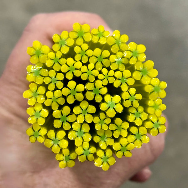 Green Eyed Susan coe 90 Flower Murrini MIX & MATCH ITEM – Wilderness Glass