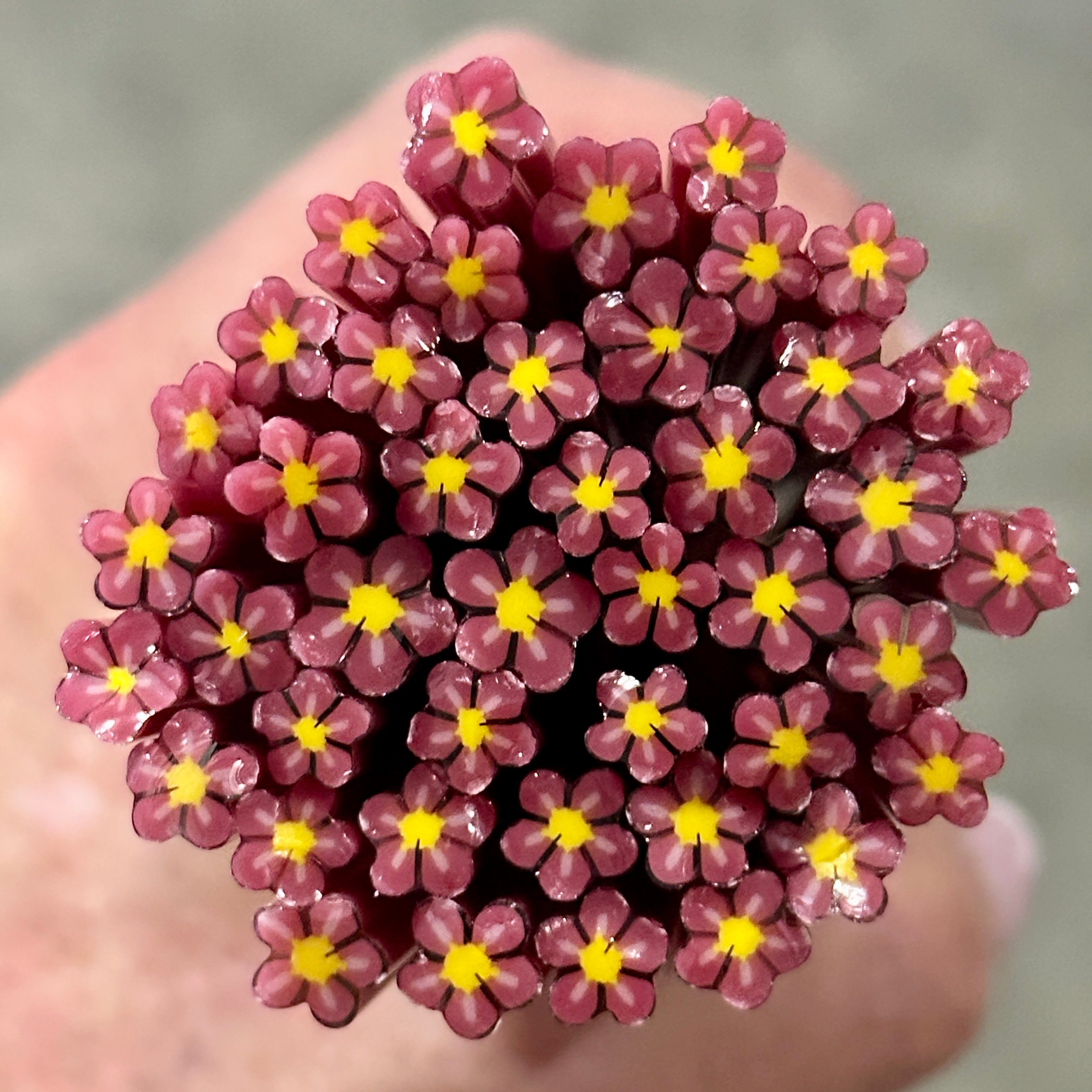 Pink Fire coe 90 Flower Murrini SINGLE ROD – Wilderness Glass