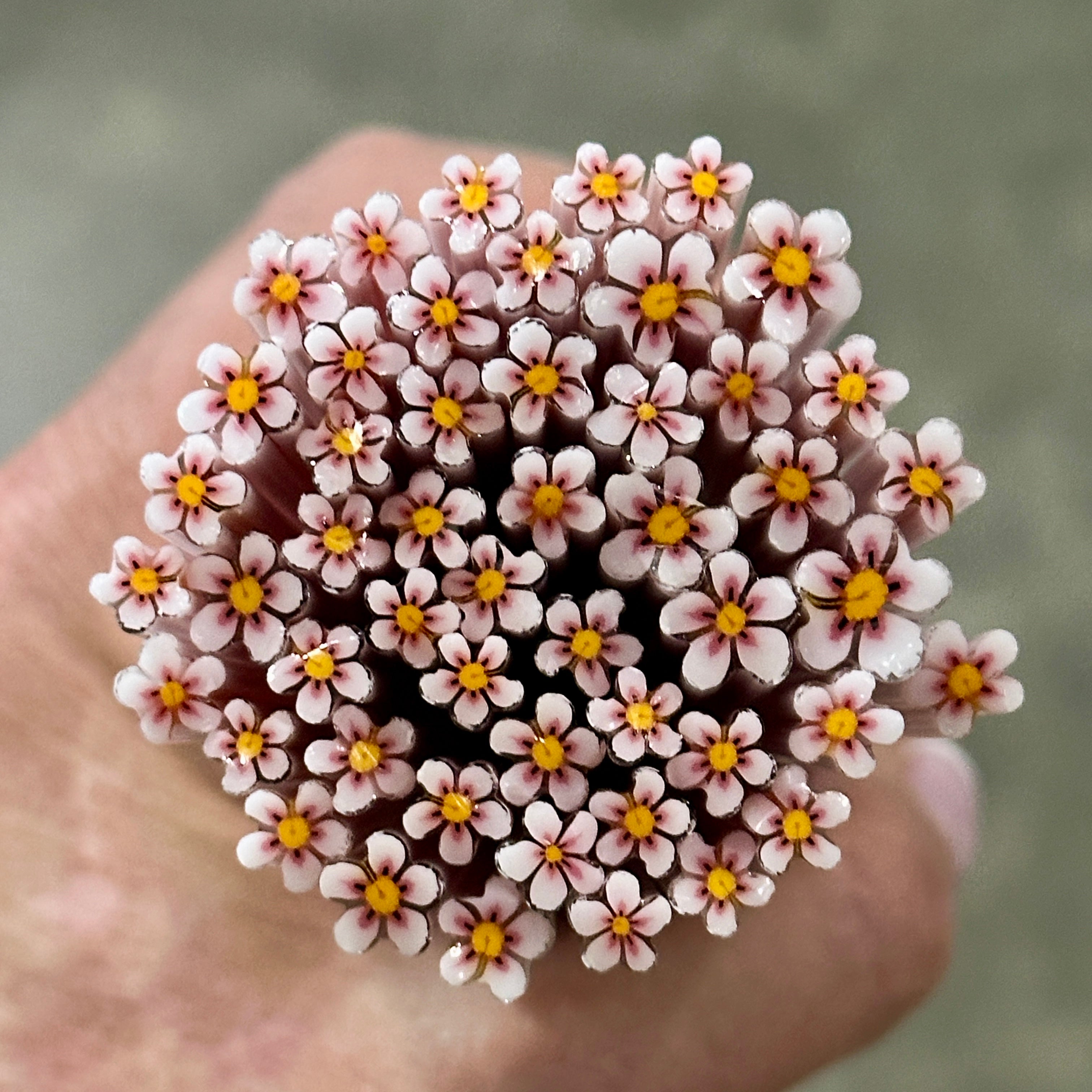COE 90 Murrini Flowers – Wilderness Glass